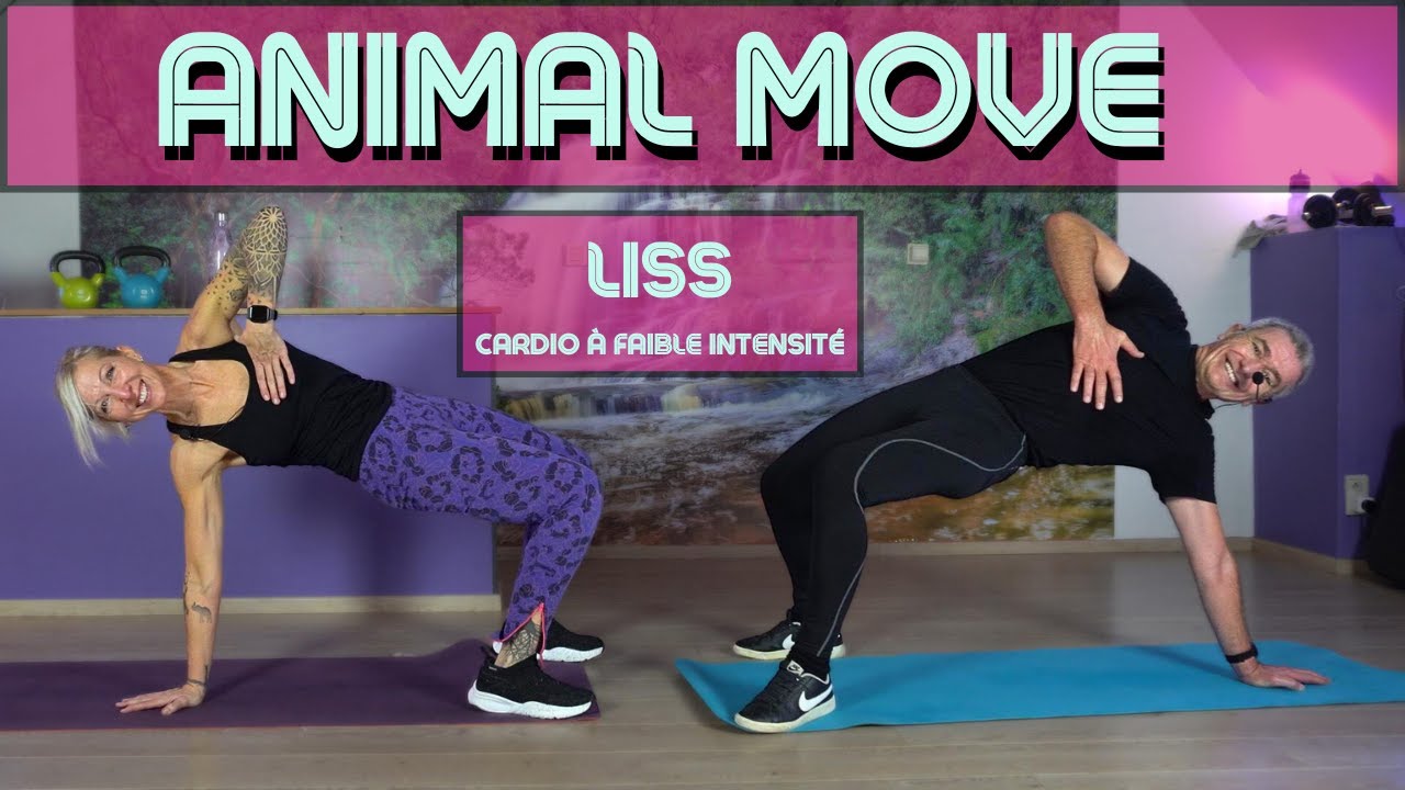 Animal move /animal flow🐒 ou comment travailler toute ta chaîne ...