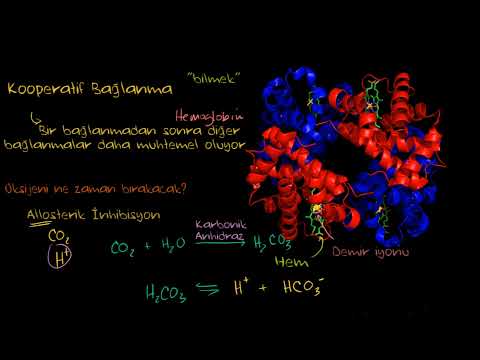 Hemoglobin (Biyoloji) (Sağlık Bilgisi ve Tıp)