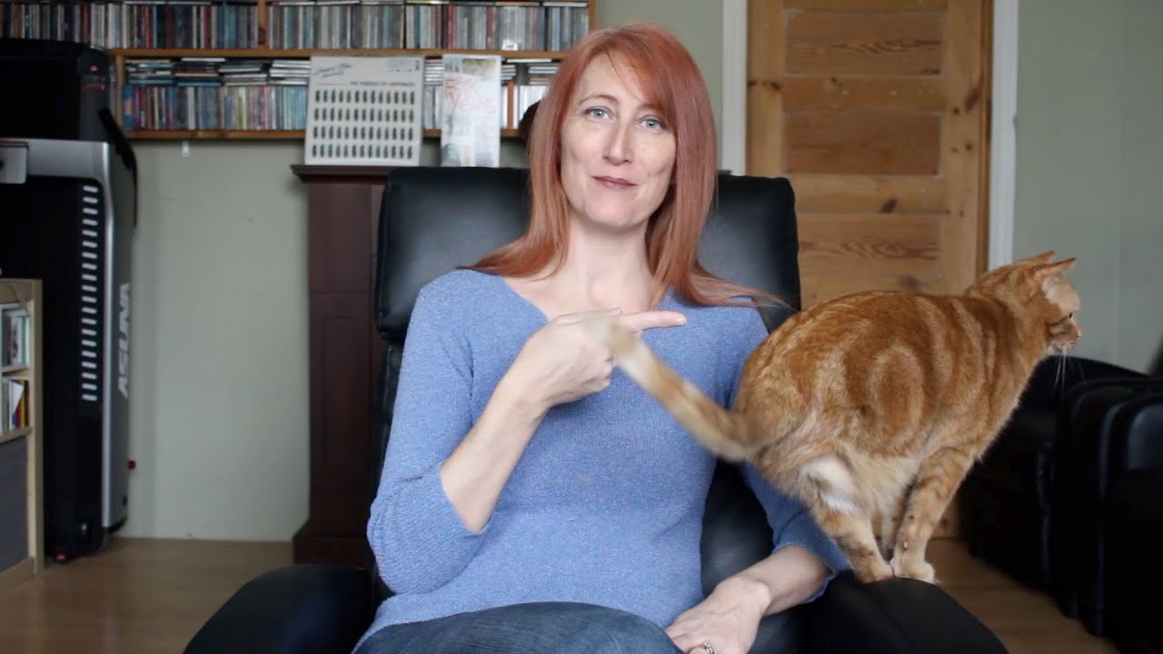 ASL Signs Balance, Good Afternoon, Everyone | Viewer Questions - YouTube