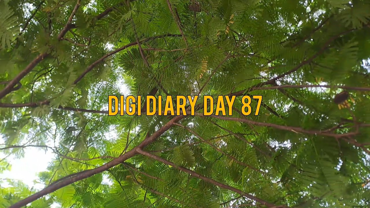 DIGI DIARY DAY 88 : 22.07.2024 - YouTube