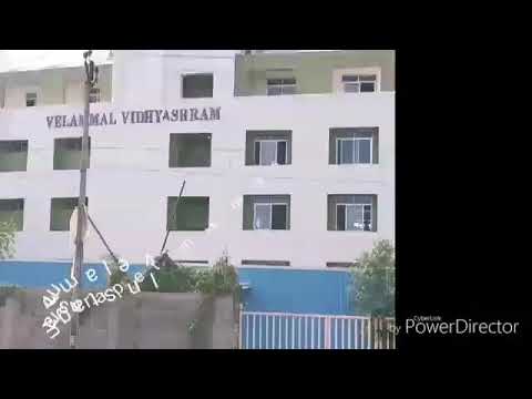 VVS CBSE Alapragail - YouTube