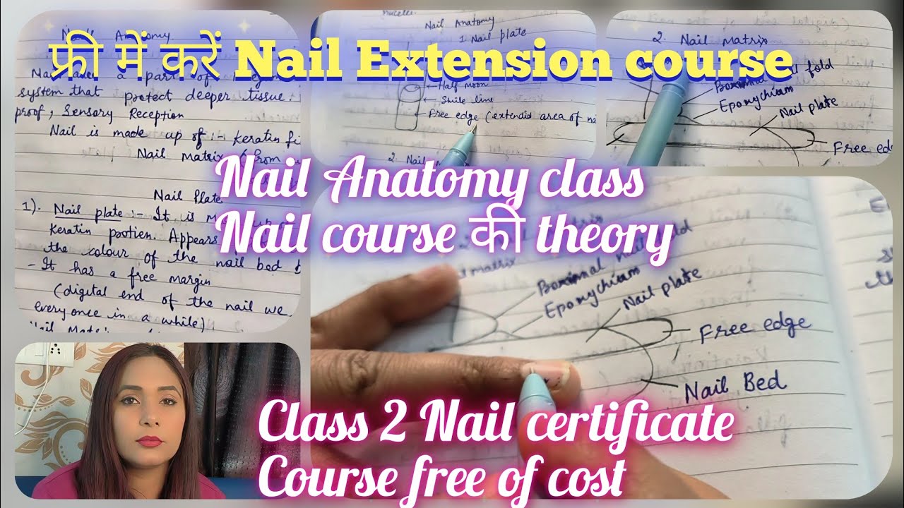 Free Nail Extension course ||Most Important class||Nail Anatomy Day 2 ...