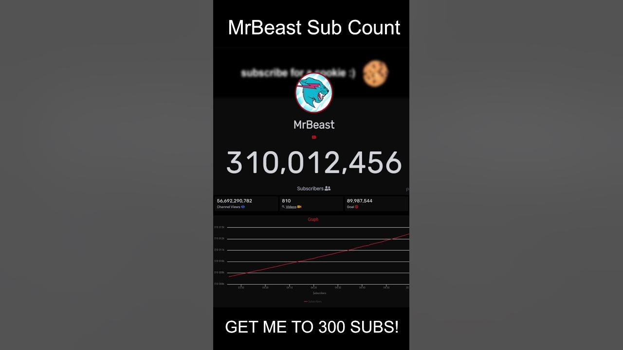 MrBeast Live Sub Count 2024 #mrbeast - YouTube