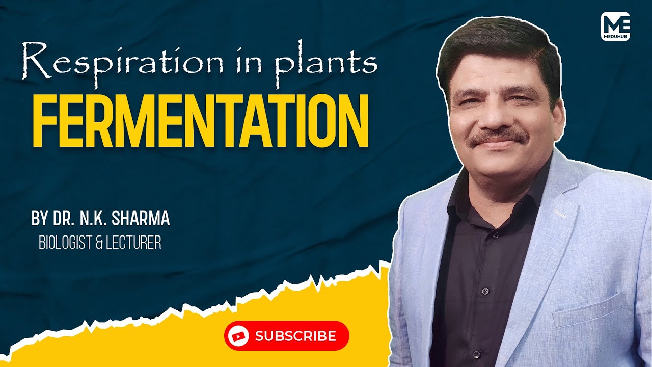 Fermentation - Respiration in plants by Dr. N.K. Sharma | Masterclass ...