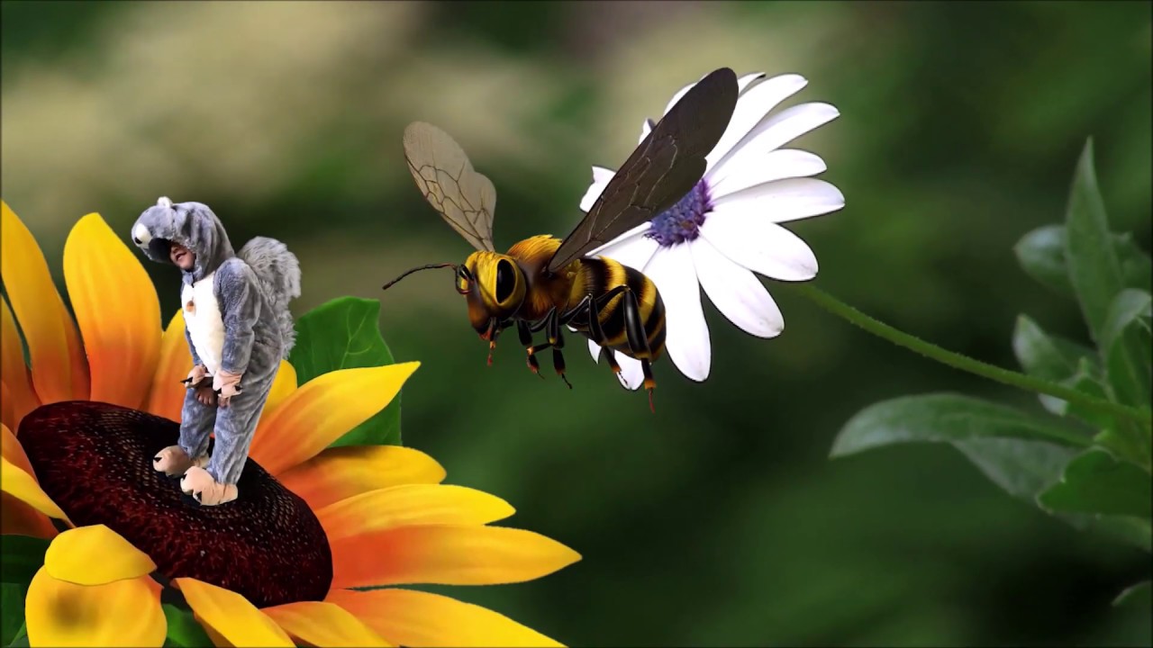 Bee Song, Baby Bumble bee Song, Cute Bee video for Kids,My Little Bee ...