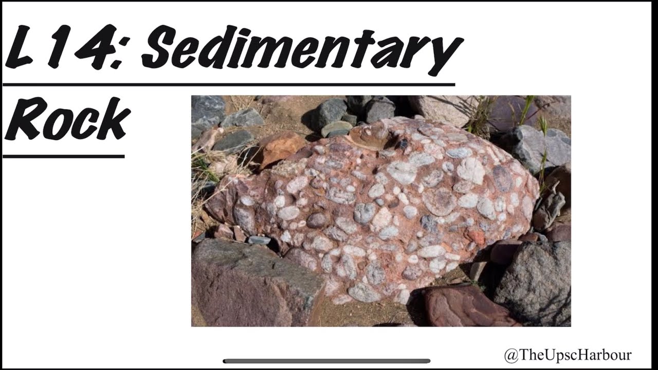 L14: Sedimentary Rocks- UPSC CSE/STATE PSC/Govt Examinations - YouTube