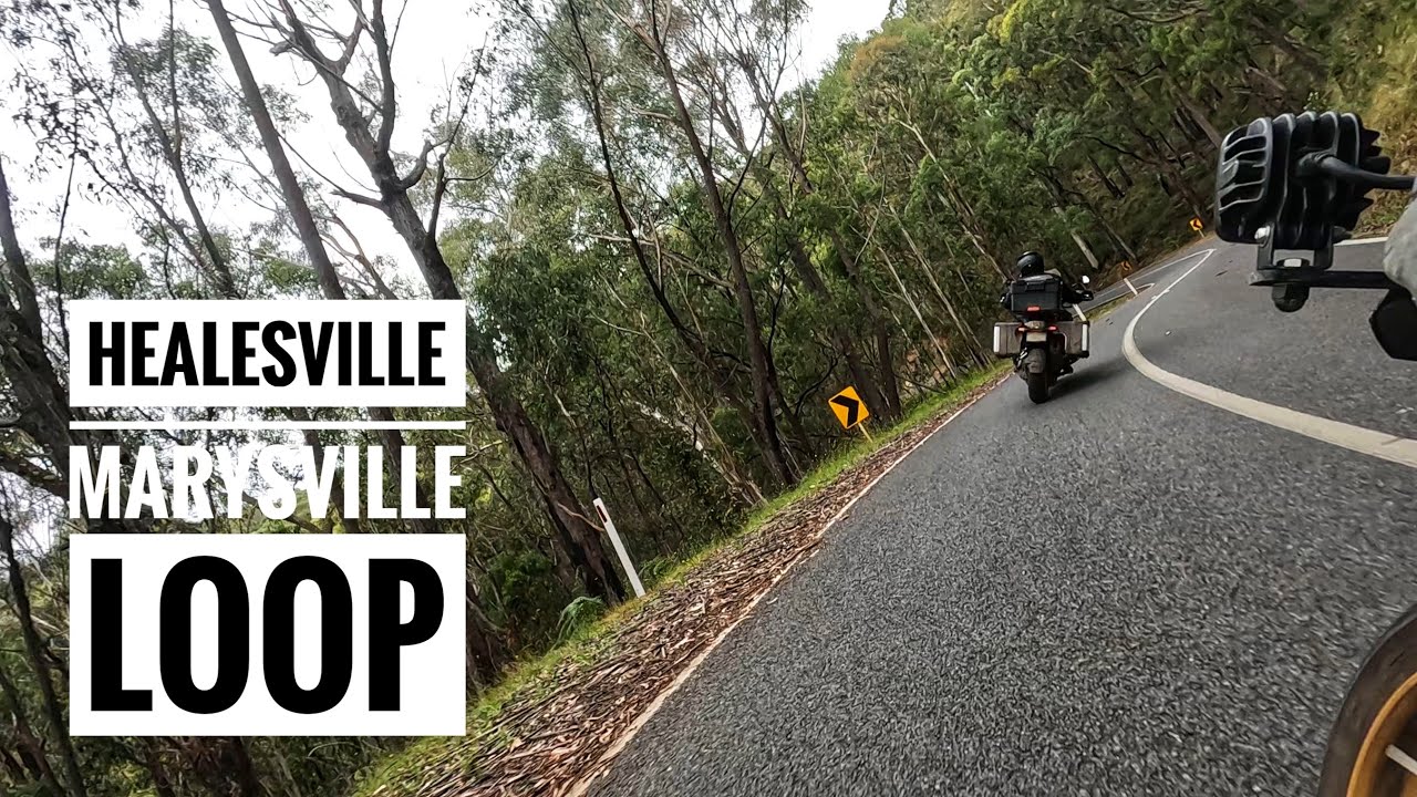 Healesville Marysville Loop — Black Spur, Reefton Spur, Myers Creek ...