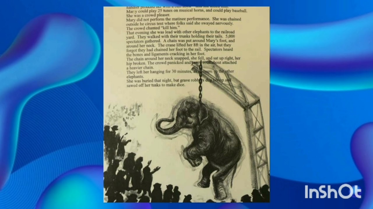 Ajana Canvas: Murderous Mary, The Only Elephant To Be Hanged To Death ...