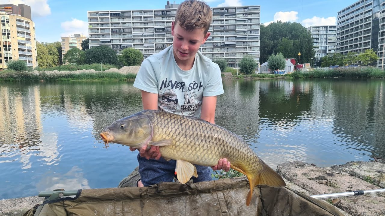 Een succesvolle karper sessie met veel mooie vissen 🐟 - YouTube