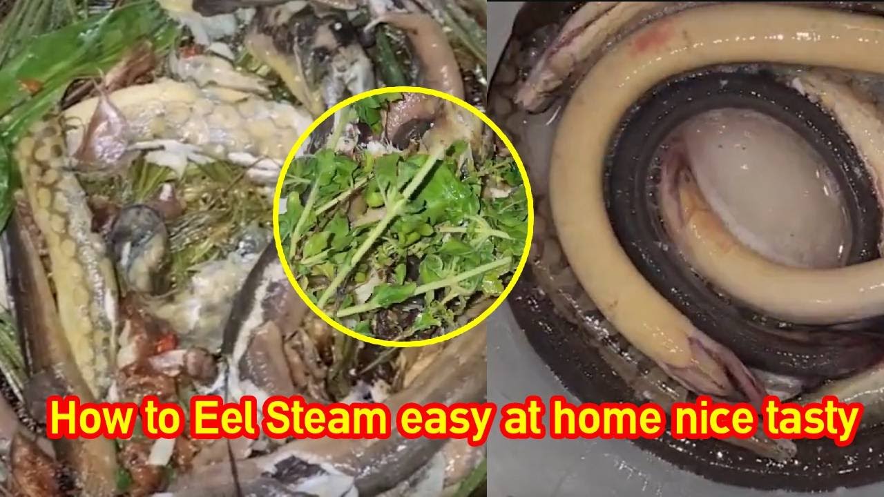 How to Eel Steam easy at home nice tasty | simple food - YouTube