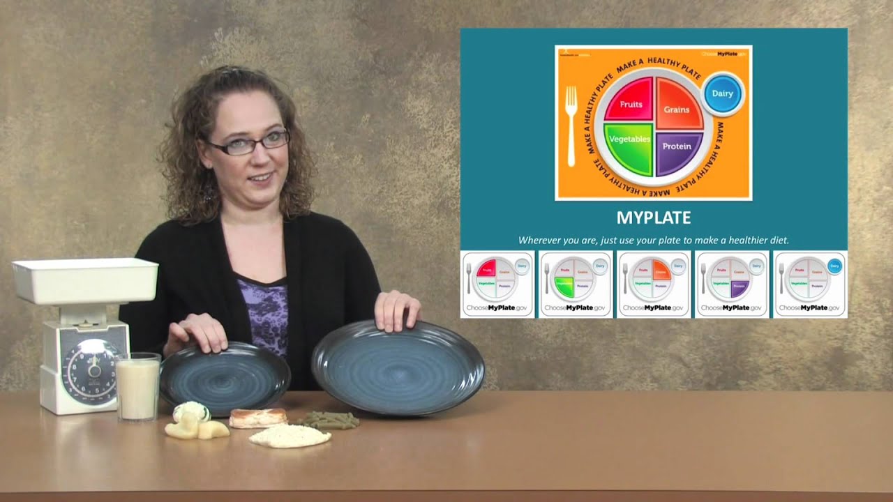 Nutrition Through the Lifecycle: My Plate - YouTube