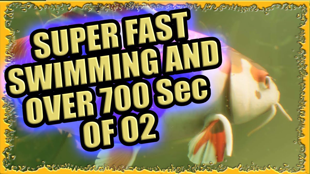 The Best Pond Exploration Build in the New Grounded Update | New ...