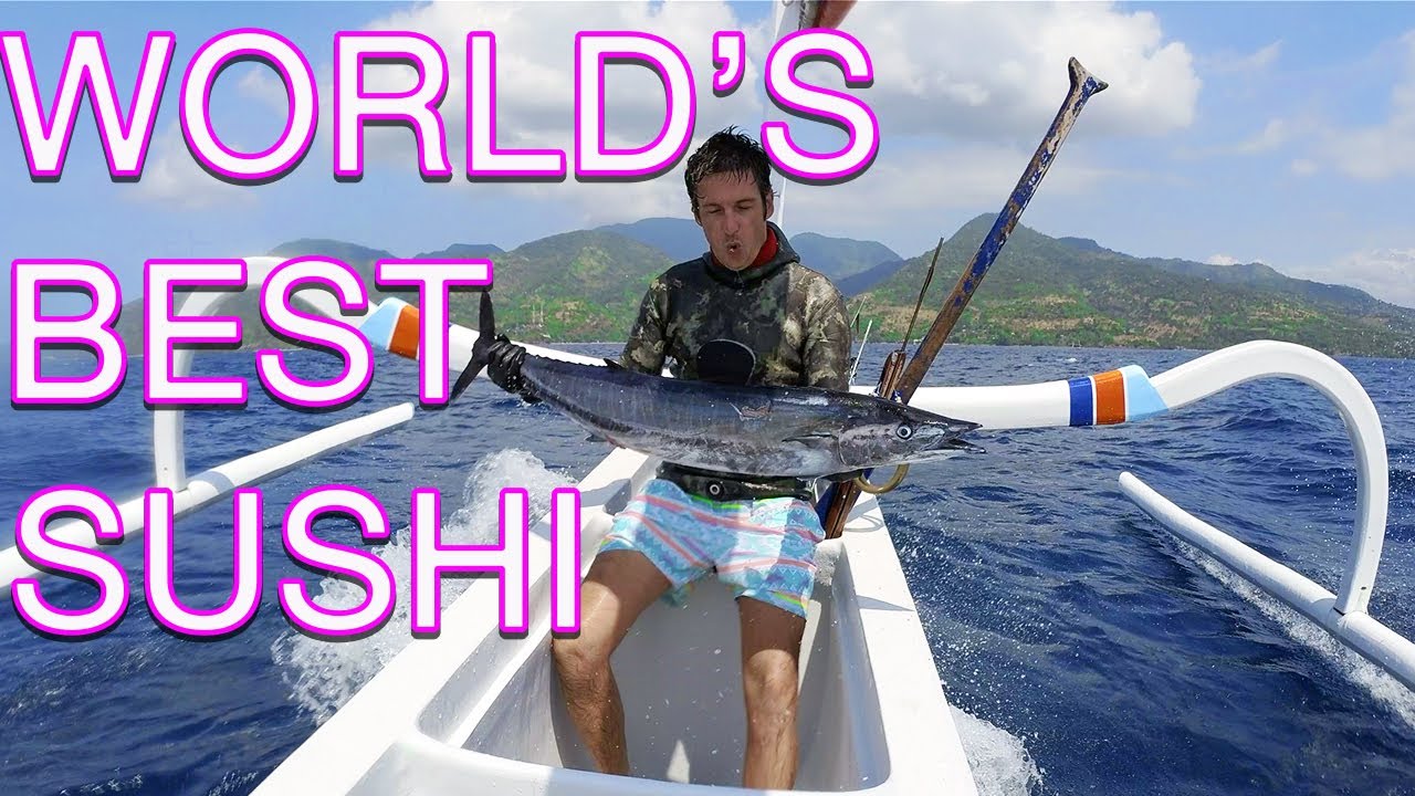 I've tried (& failed) to catch this fish many, many times... - YouTube