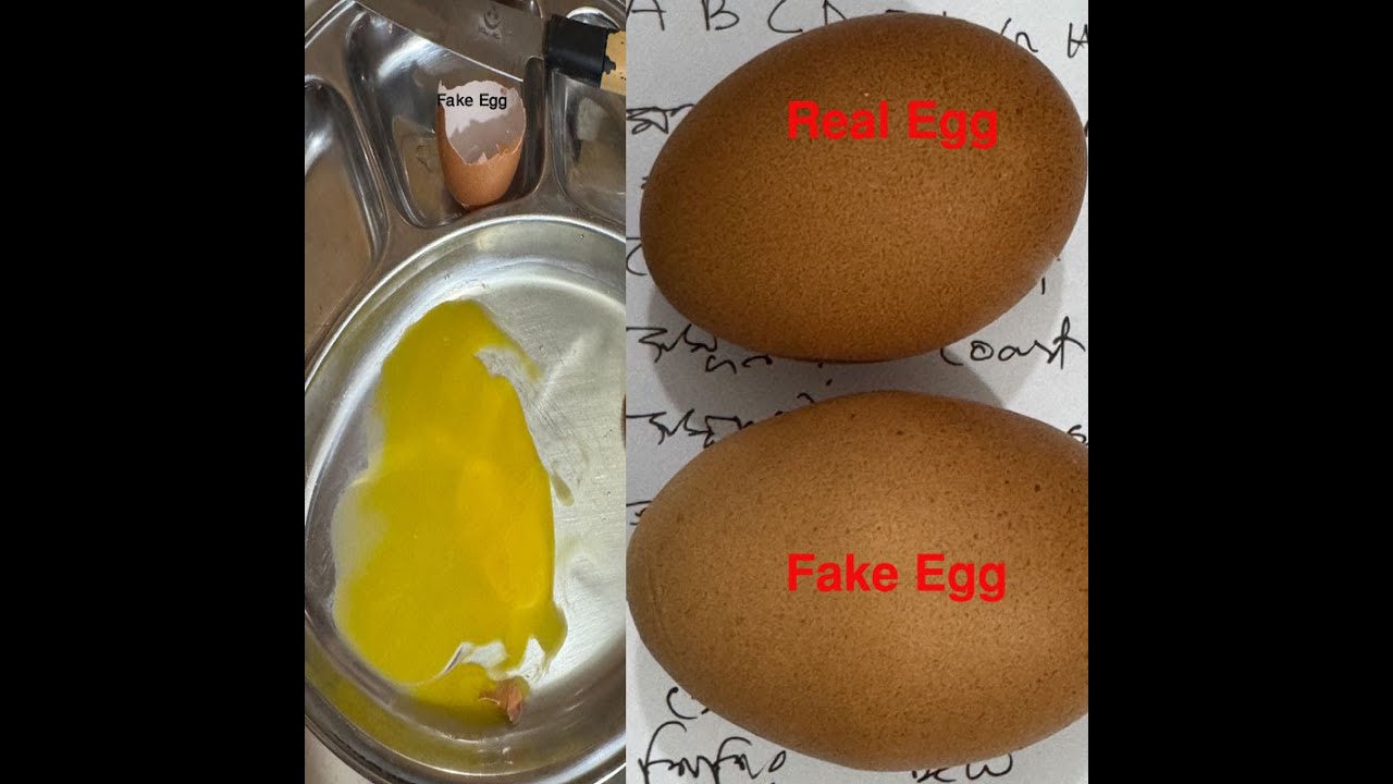 Fake Egg discovering - YouTube