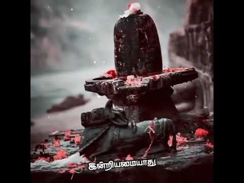 13 December 2021 - YouTube