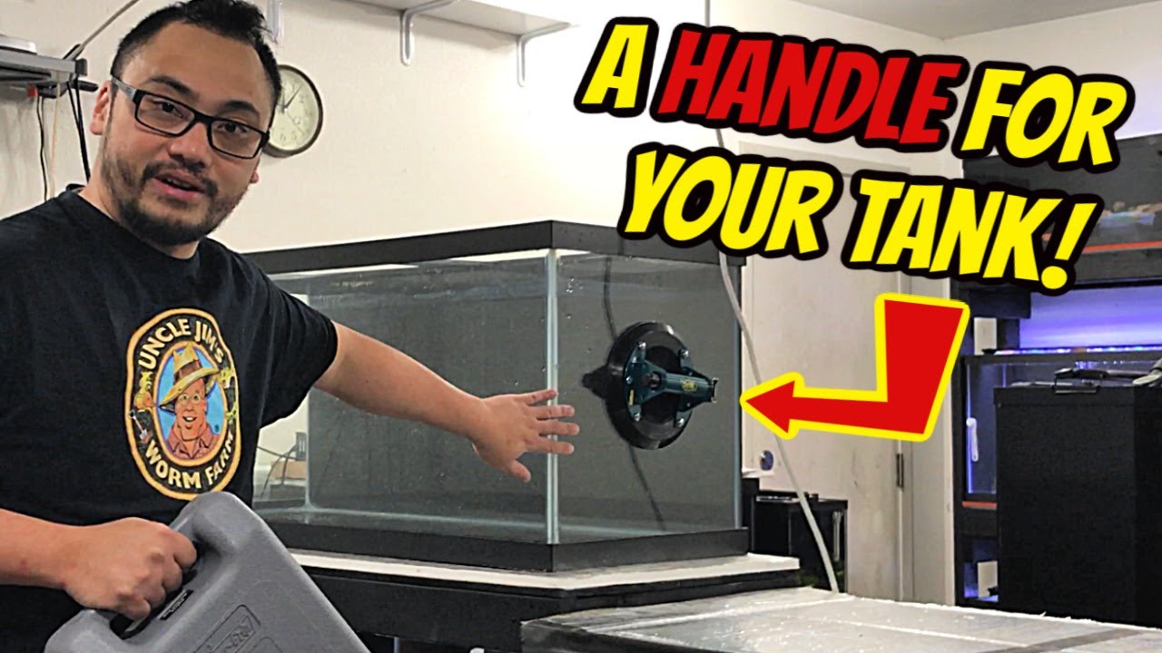 Lifting Heavy Fish Tanks with Suction Power! - Woods PowrGrip - YouTube