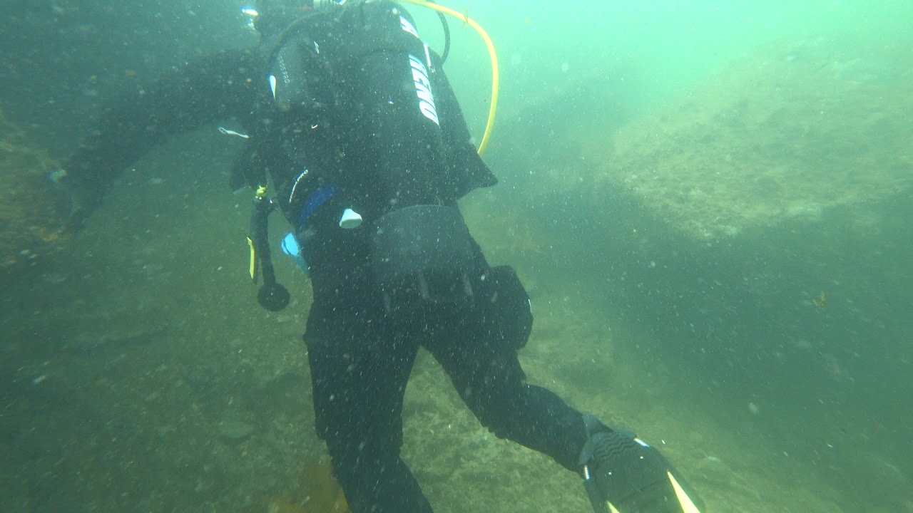 Tweed Heads scuba dive - YouTube