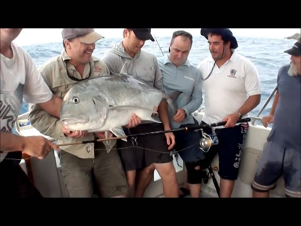 New Brawn Tuff Tackle Fishing Reel 8000 GT Combo!!1 - YouTube