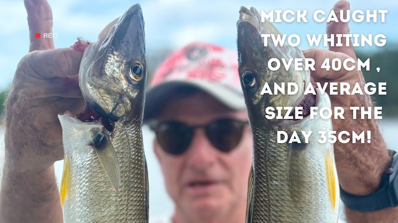Mick caught two whiting over 40cm! Average size was 35cm *Language ...