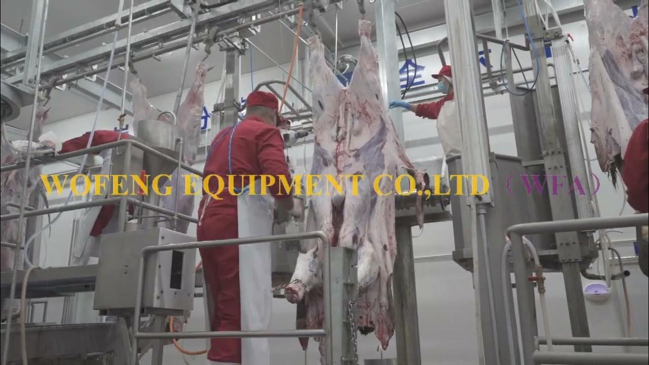 WFA Cow Beef Slaughter House Processing Equipment For Cattle Abattoir ...