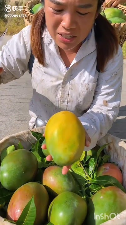 Green And Teste Mango🥭😂~mini Wood Toy Woodworking Art Skill Hands Craft Idea Shorts Mango