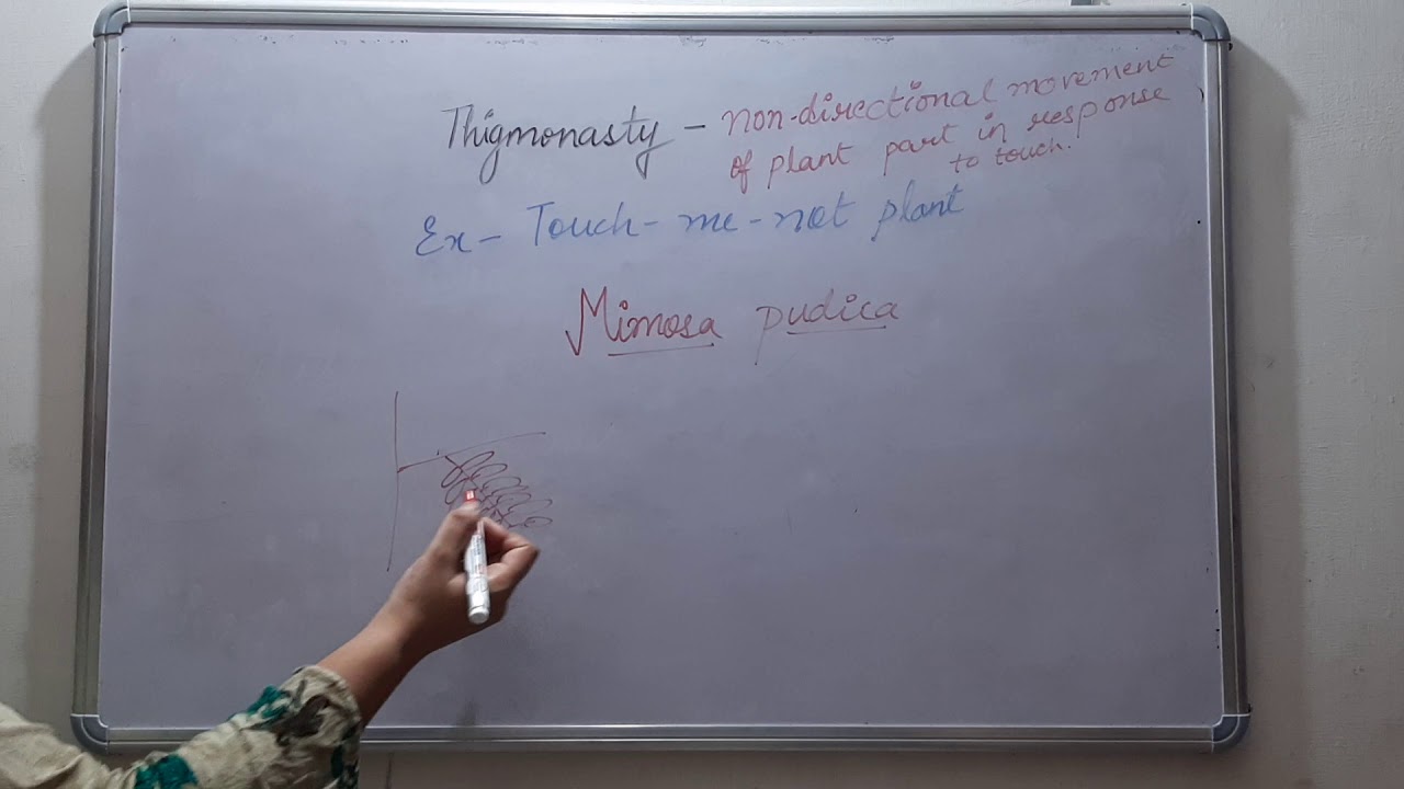 Nastic movements - YouTube
