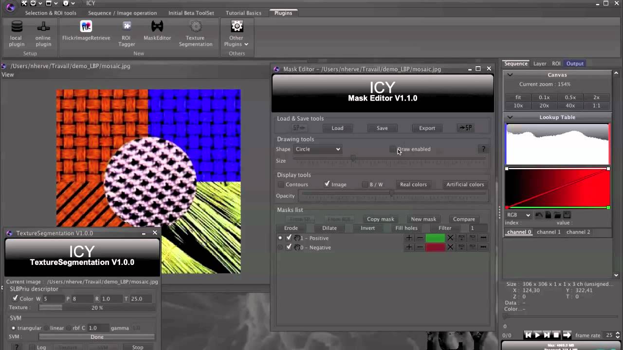 ICY Plugin - Texture Segmentation - YouTube