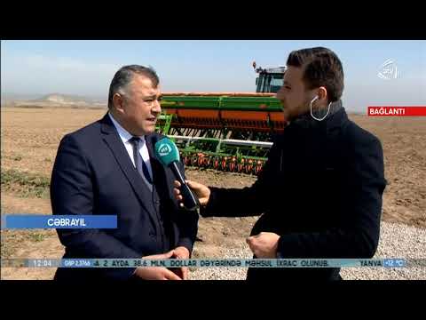 Cəbrayılın Soltanlı kəndində əkin işləri ilə tanışlıq-ATV