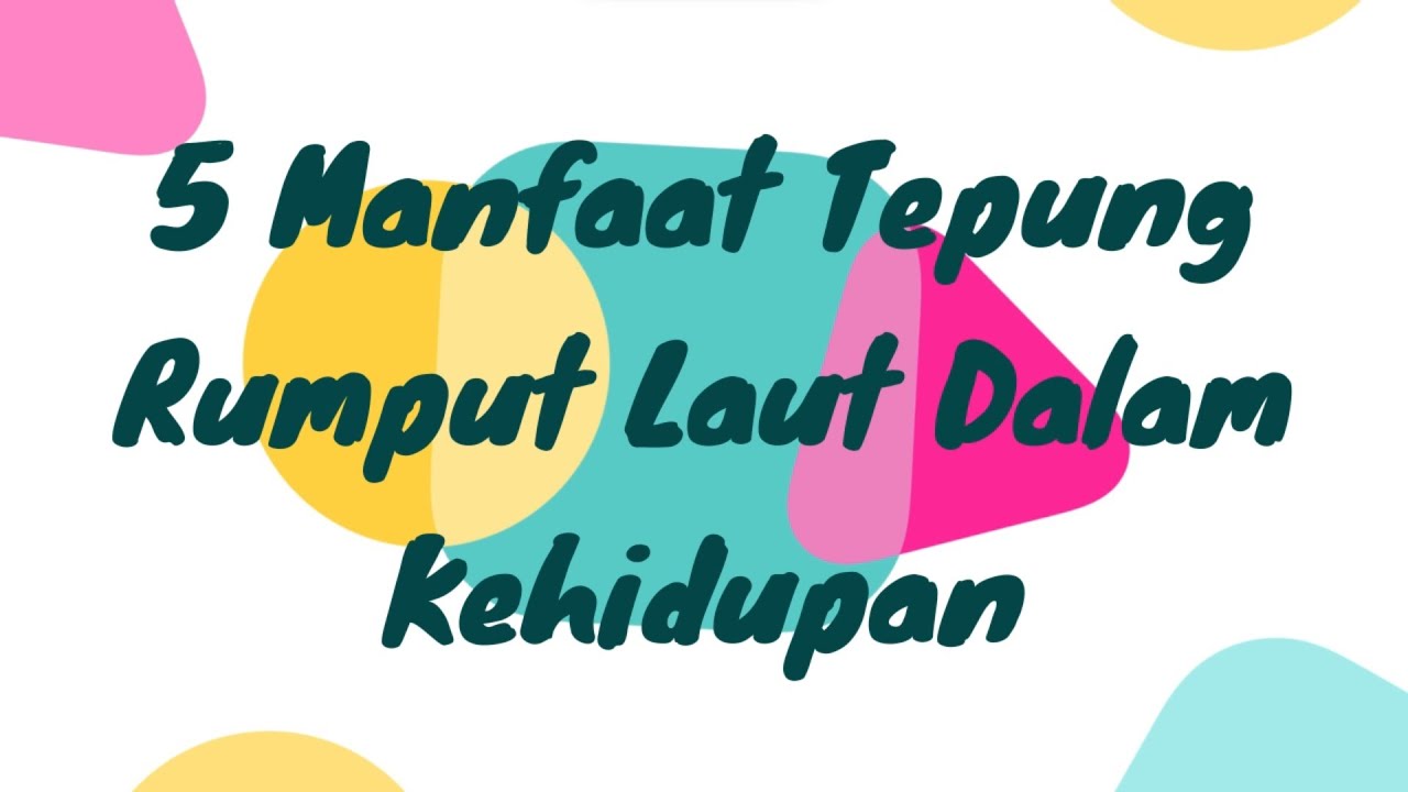 5 Manfaat Tepung Rumput Laut dalam Kehidupan - NdobosOraKuwi - YouTube