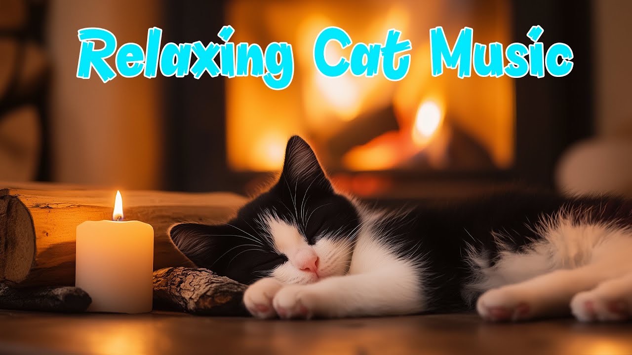 Sleepy Cat Music 🐱Healing Sleep Music for Cats 🐾 Purring Sounds ...