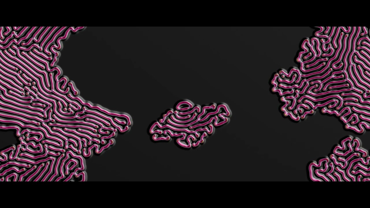 2023-01-23 Reaction-Diffusion Simulation - YouTube