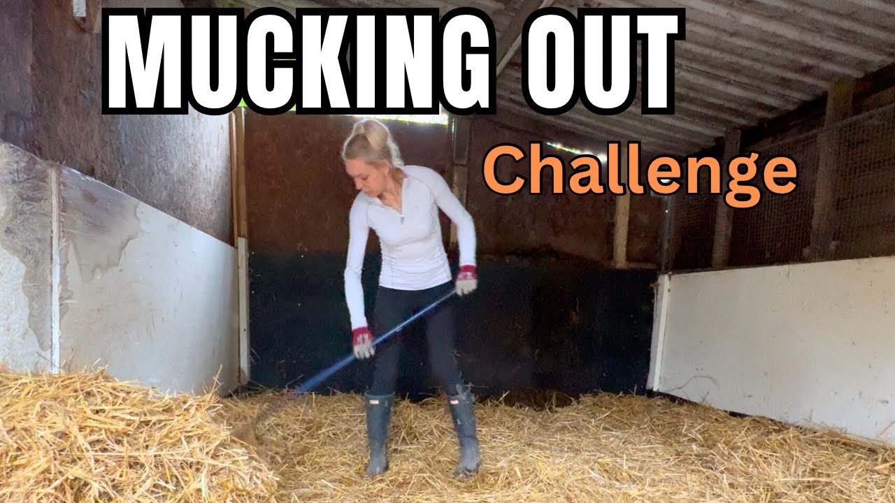MUCKING OUT CHALLENGE - Would I make it as a horse groom? - YouTube