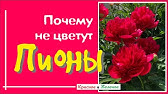 ЭМ препараты своими руками - YouTube