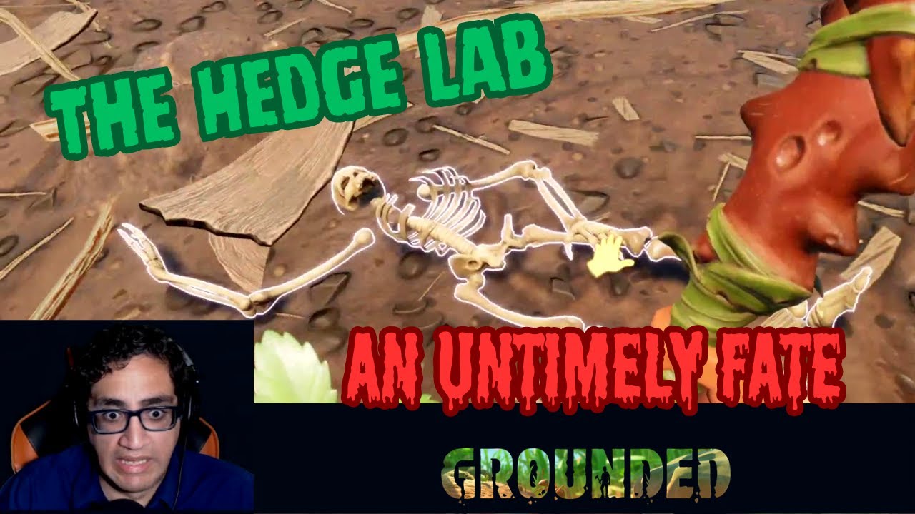 Grounded - Playthrough #11 - The Hedge Lab: An Untimely Fate - YouTube