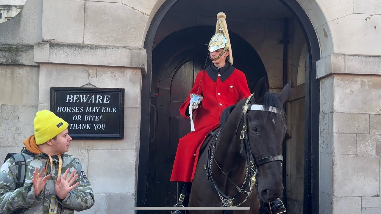 Step Back From The Reins! - YouTube