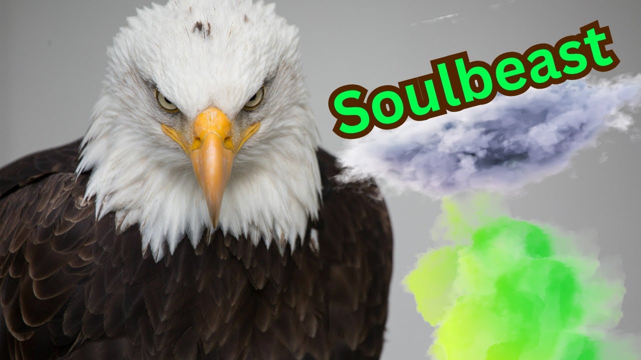 Guild Wars 2 Soulbeast pvp - YouTube