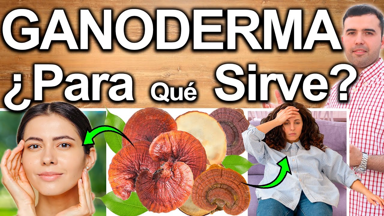 HONGO GANODERMA REISHI TODOS LOS DÍAS - Para Qué Sirve, Beneficios Y ...