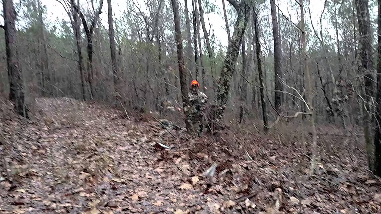 Realtree xtra camo in mixed pine/hardwood, winter. - YouTube