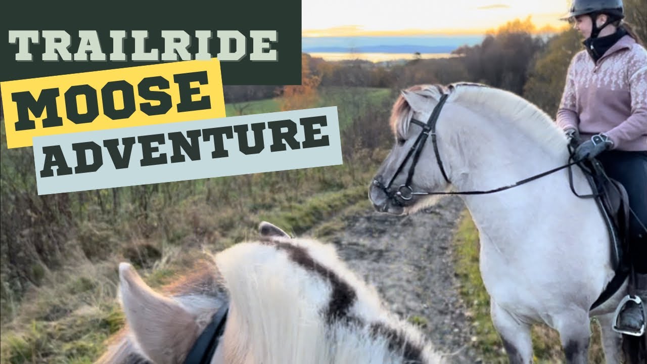An Unexpected Encounter: Horseback Riding with a Moose and Her Calf! # ...