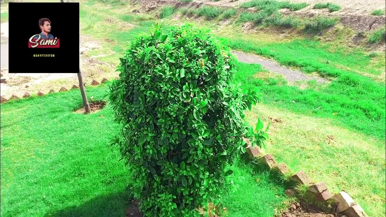 Mera first velog Lahore muradke main - YouTube