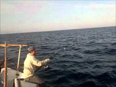 TUNA attack in SURFACE . 28kg TUNA at SPINNING - YouTube