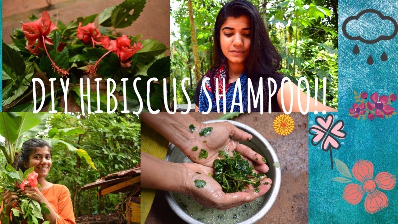 DIY homemade hibiscus shampoo for silky shiny hair |easy| |herbal ...