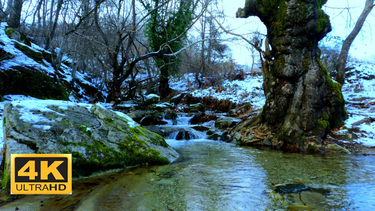 Mountain Stream 4K-Relaxing Stream Flowing Sound/Nature Sounds - YouTube