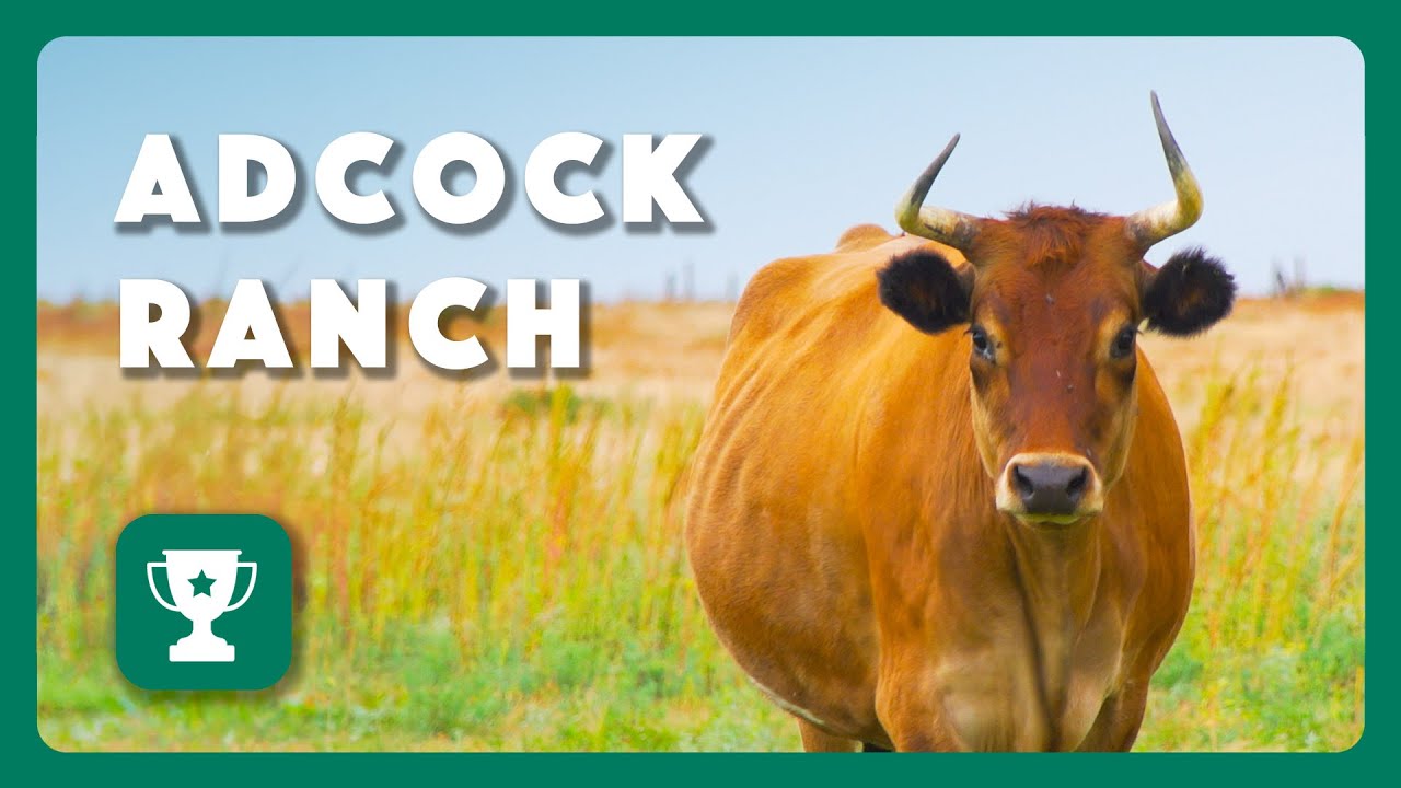 Adcock Ranch - 2024 Lone Star Land Steward - YouTube
