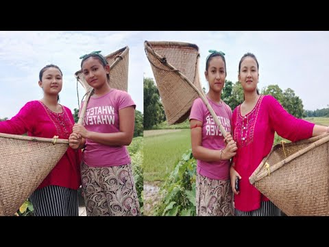 Naa Gurhwinwswi Jwngha //fishing in Paddy field//Sujuma Brahma - YouTube