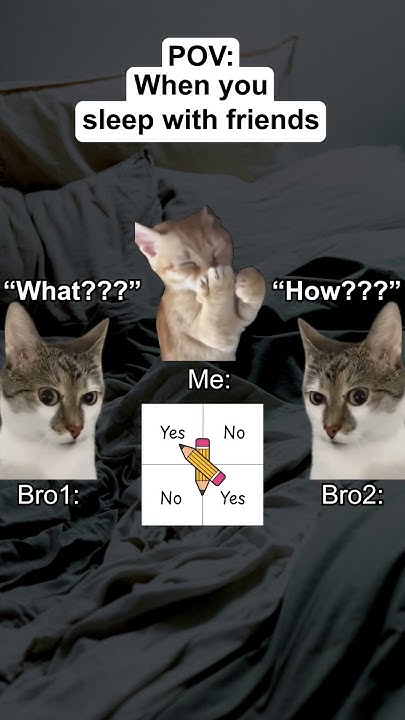 When you sleep with friends 😼 #shorts #catmemes #relatable - YouTube