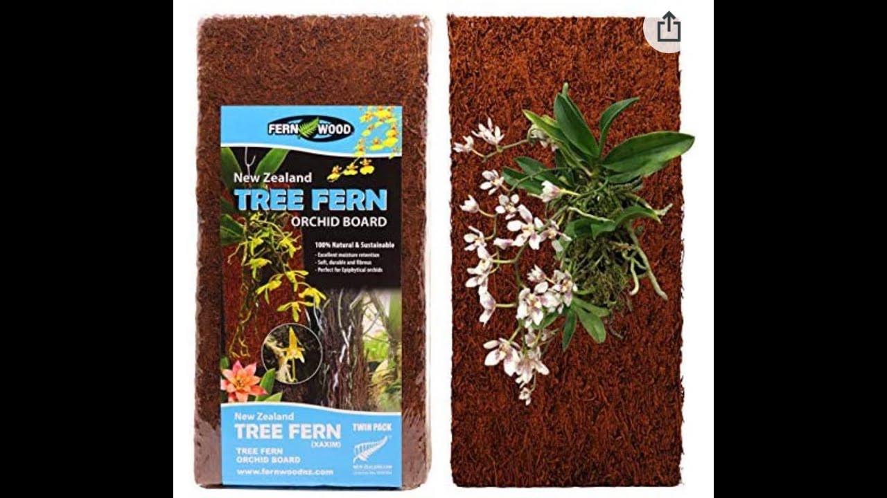 Tree-fern Panel Project Part 1 - YouTube