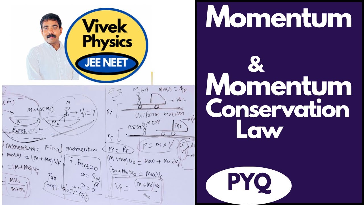 linear momentum | momentum | what is momentum - YouTube