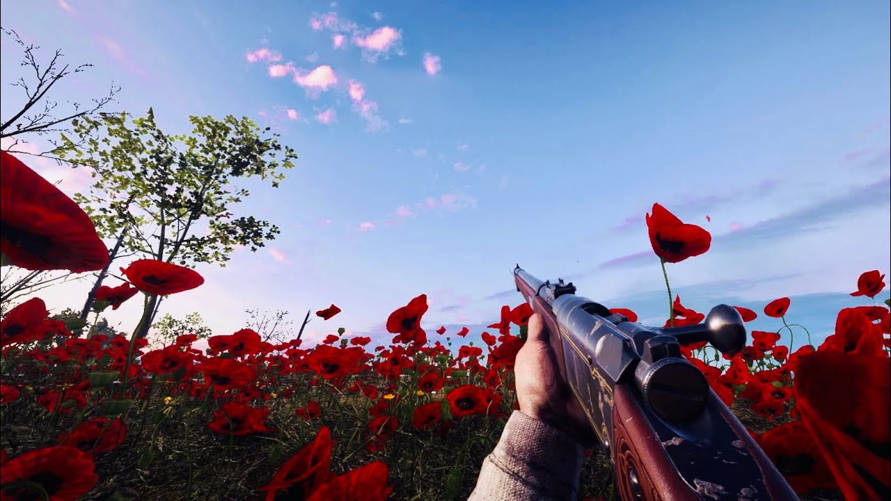 BATTLEFIELD 1 All French Firearms (Assault, Medic, Support, Scout ...