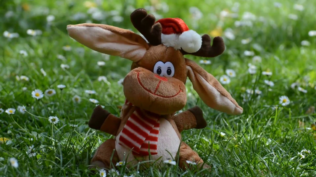 CHIPMUNK FUNNY - YouTube